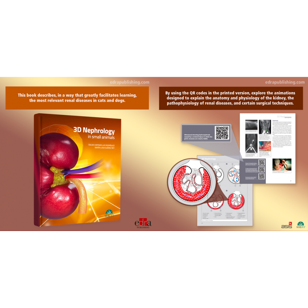 3D Nephrology in Small Animals - Veterinary Book - Nephrology