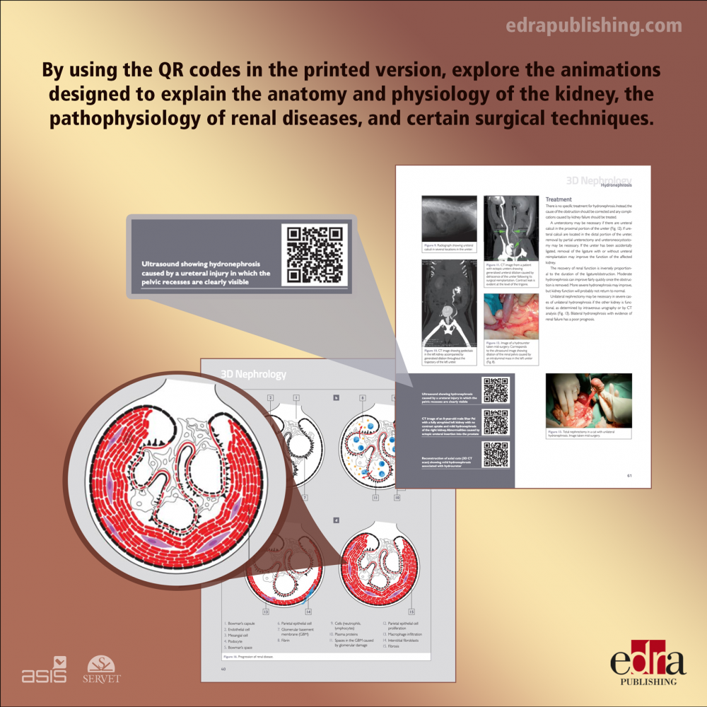 3D Nephrology in Small Animals - Veterinary Book - Nephrology