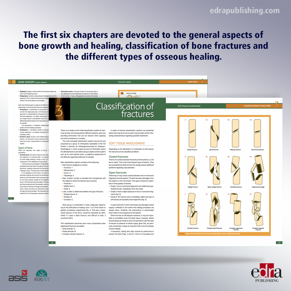 Veterinary Book - Bone surgery in small animals