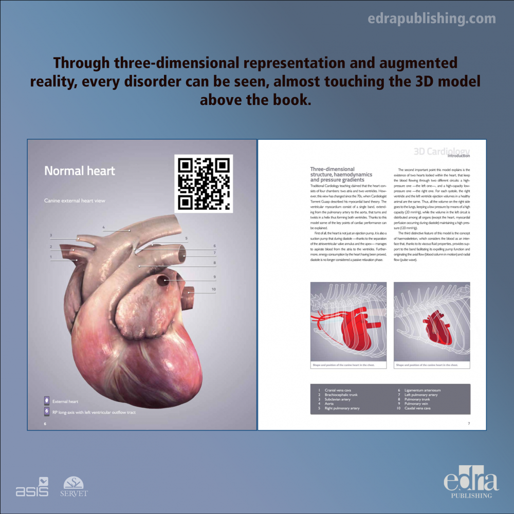 3D Cardiology in Small Animals - Veterinary Book