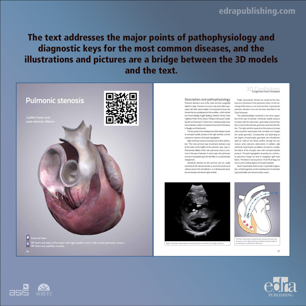 3D Cardiology in Small Animals - Veterinary Book